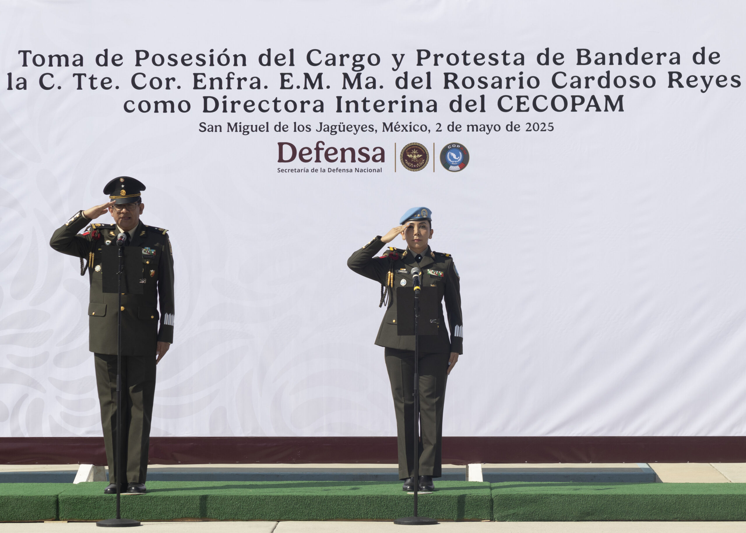 TOMA PROTESTA, LA PRIMERA MUJER DIRECTORA INTERINA DE LOS CASCOS AZULES ...